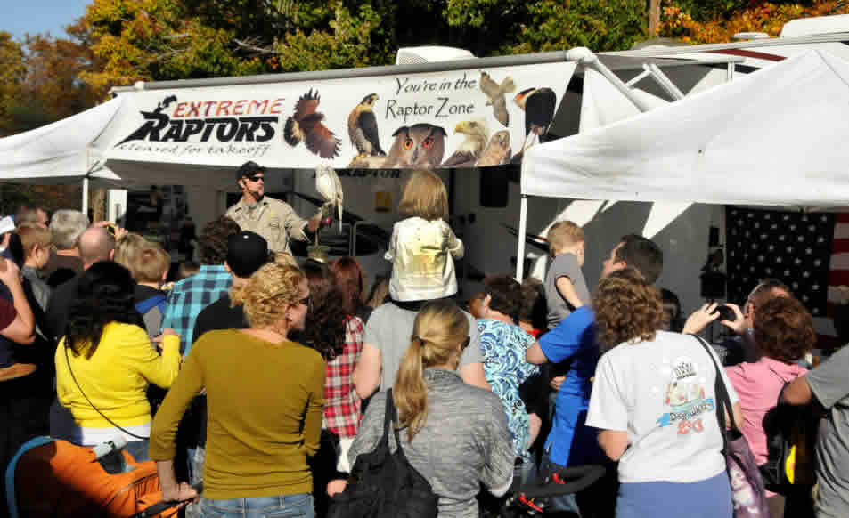 Extreme Raptors Show